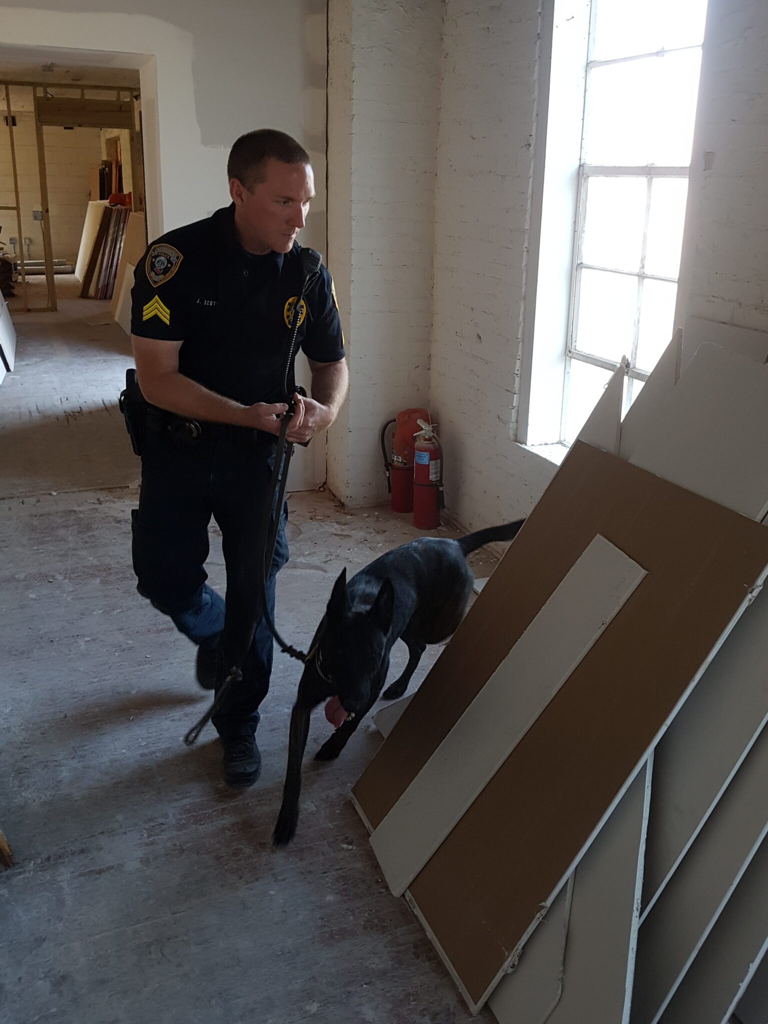 Dual Purpose Patrol and Detection K9 - valhallk9