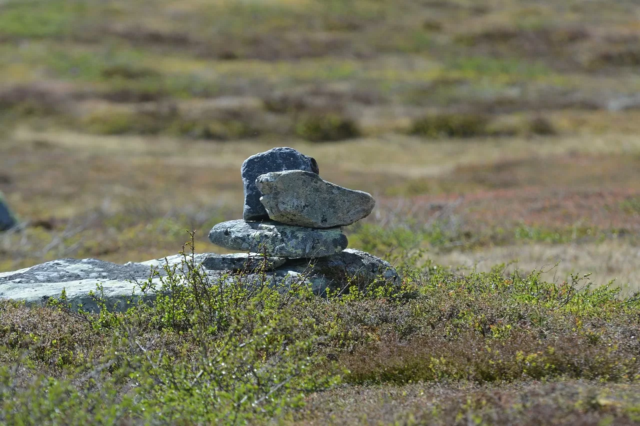 Training for Canine Good Citizen Certification: A Roadmap to Success ...